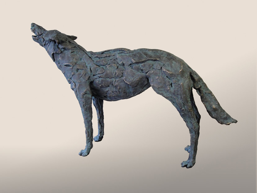 Sharon Loper || Wolves